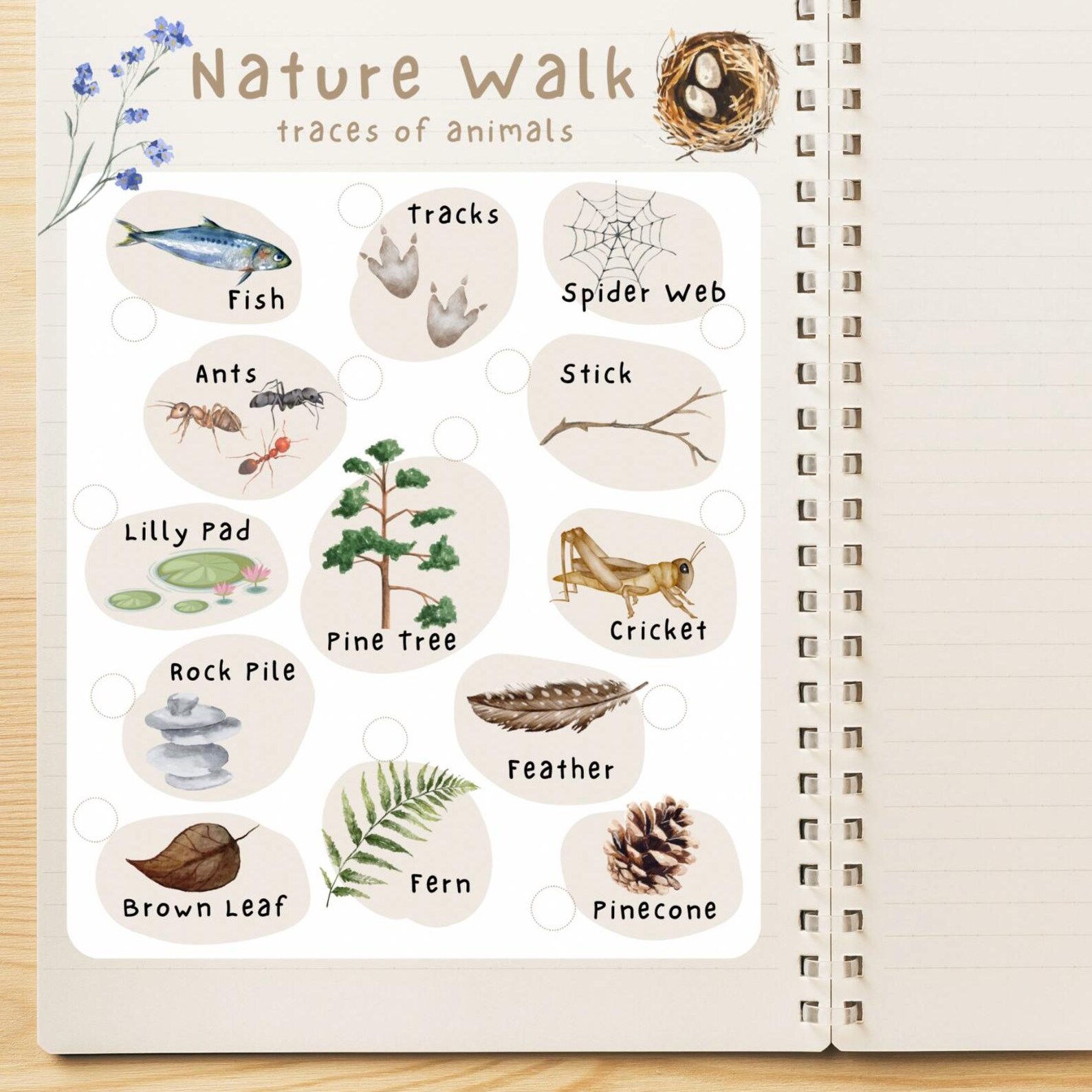 COMMUNITY PRINTS: Nature Walk Printable Collection, Traces of Animals ...