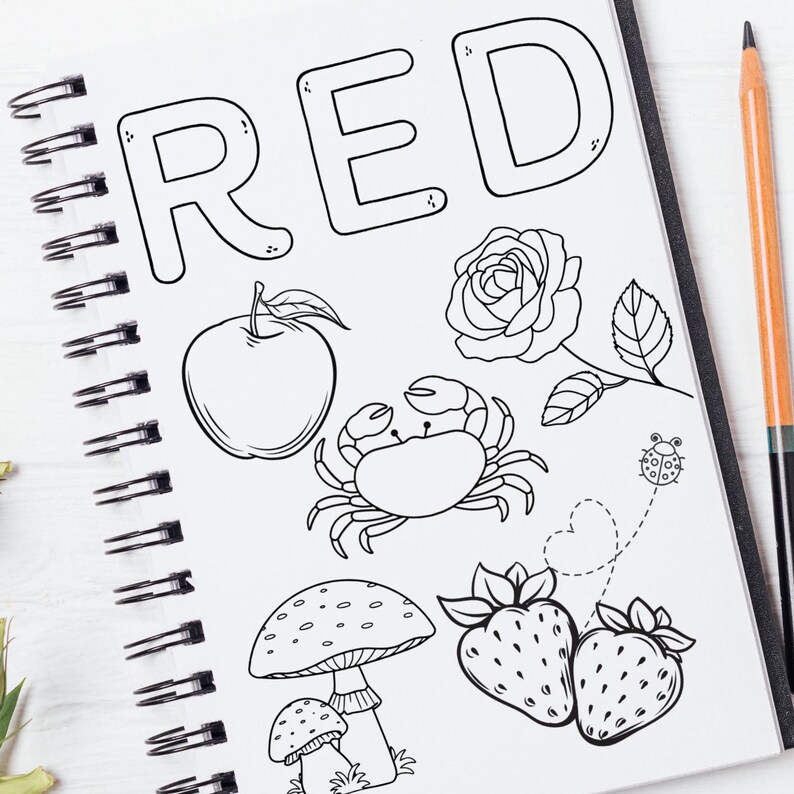 The Colors, Preschool Coloring Sheets - Etsy