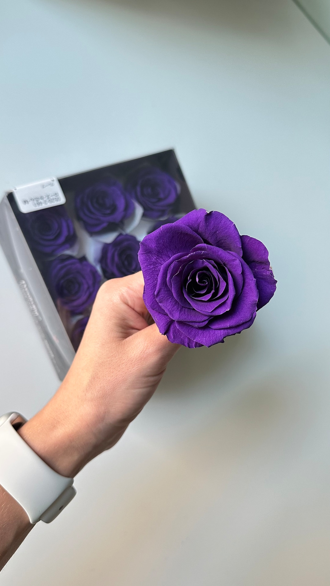 Preserved Roses Japanese Roses Preserved Flowers - Etsy