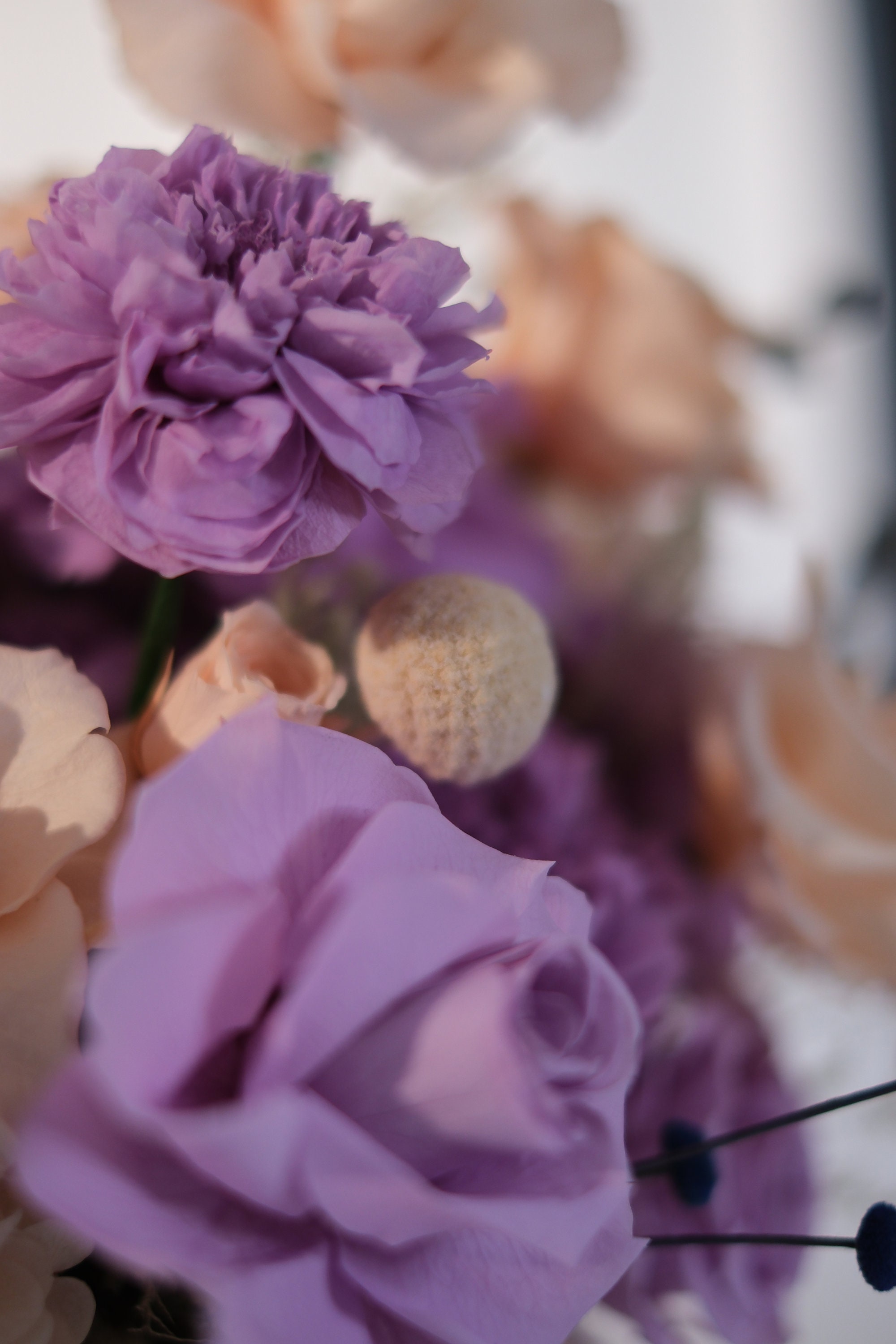 Preserved Fresh Flowers Preserved Roses Roses in Box - Etsy