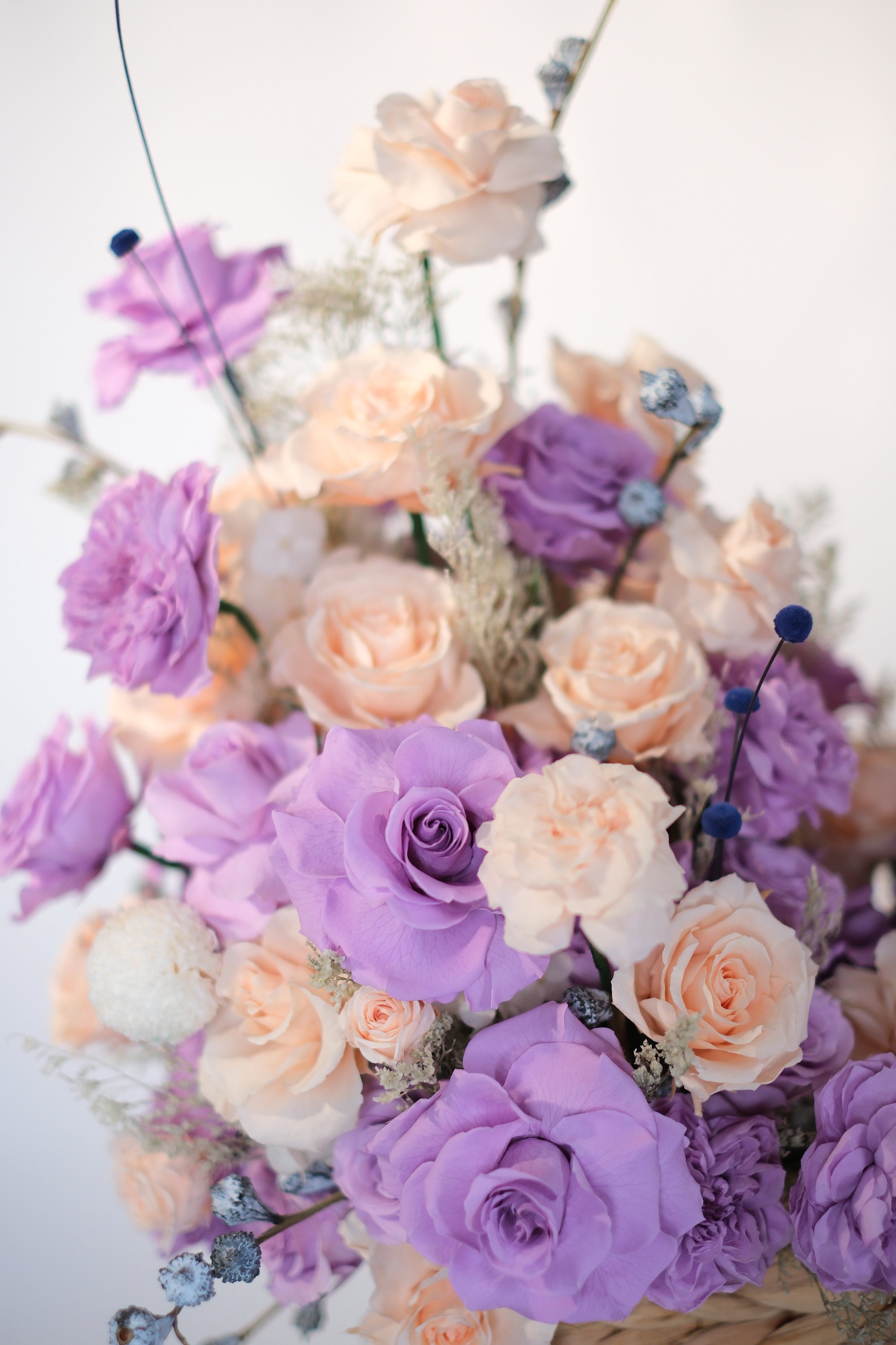 Preserved Fresh Flowers Preserved Roses Roses in Box - Etsy