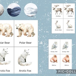 Arctic Animals Memory Matching Game Printable Bundle! - Etsy
