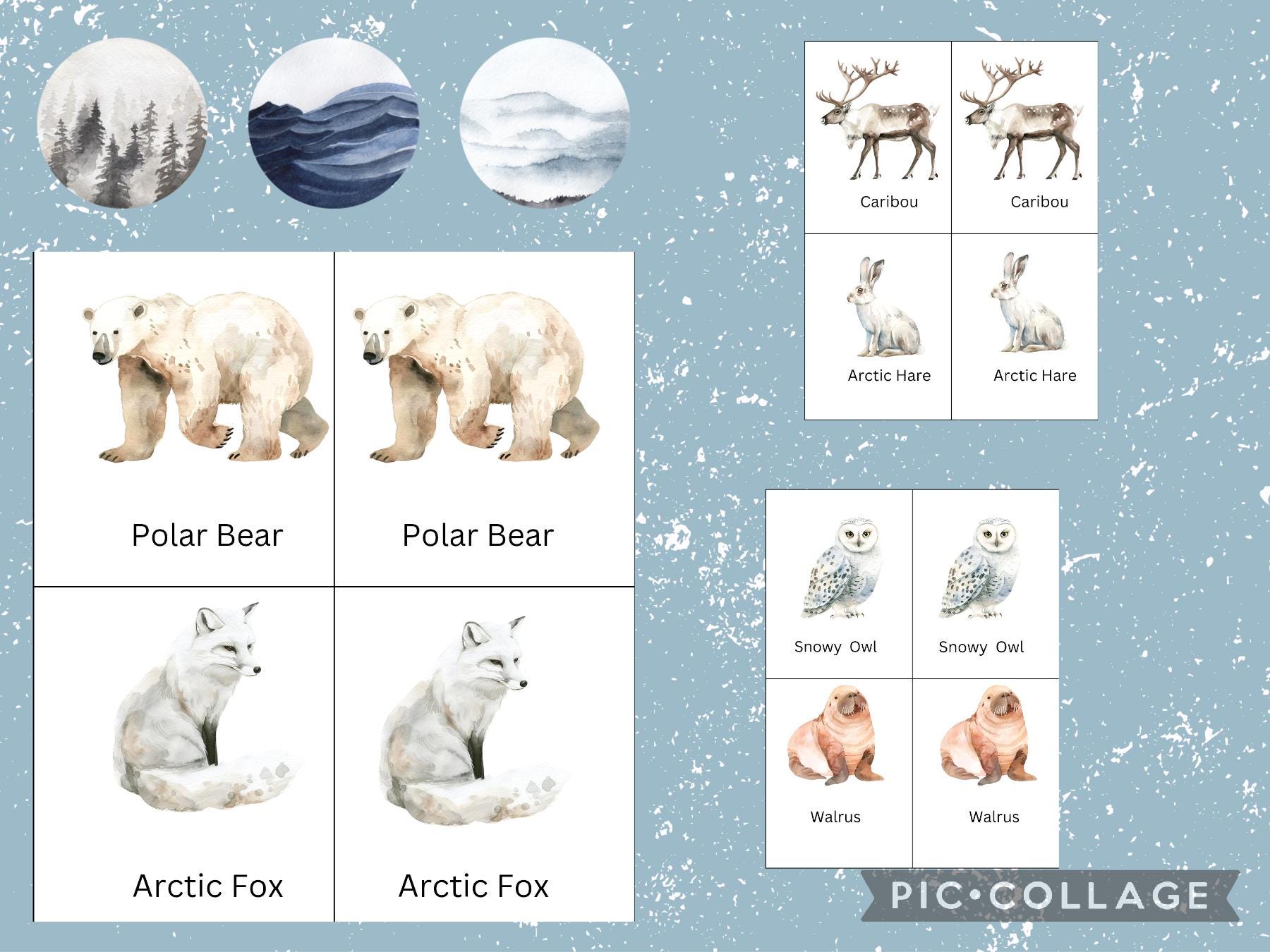 Arctic Animals Memory Matching Game Printable Bundle! - Etsy