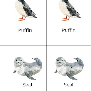 Arctic Animals Memory Matching Game Printable Bundle! - Etsy