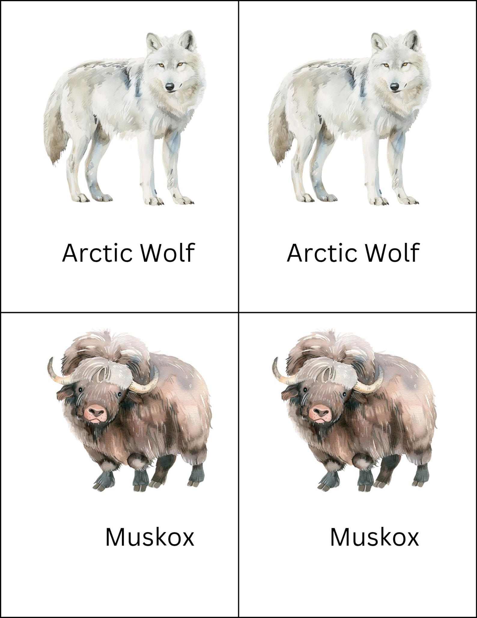 Arctic Animals Memory Matching Game Printable Bundle! - Etsy