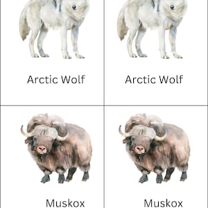 Arctic Animals Memory Matching Game Printable Bundle! - Etsy