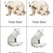 Arctic Animals Memory Matching Game Printable Bundle! - Etsy