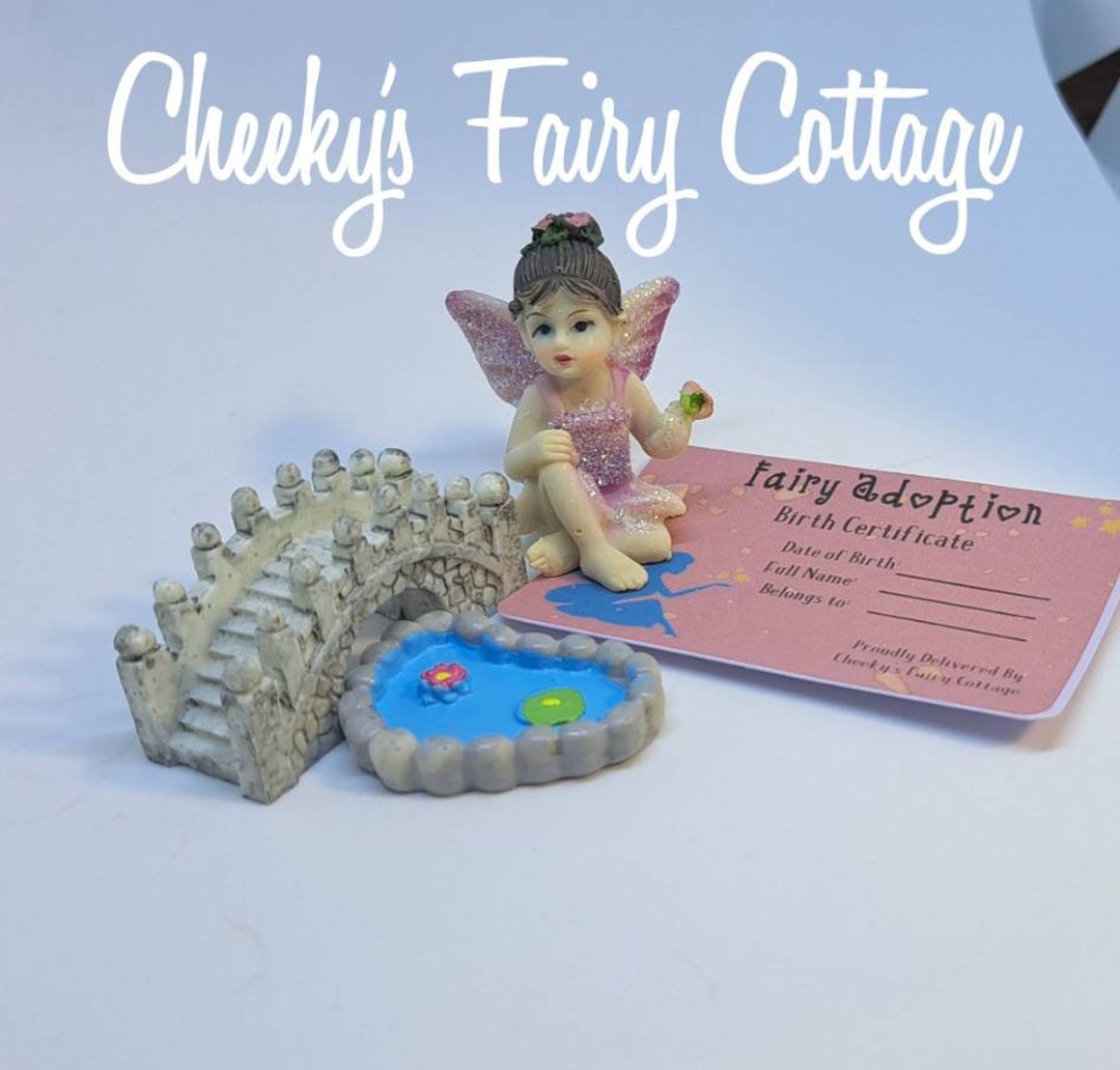 Fairy Starter Pack. Fairy Garden Collection. Great Gifts for Fairy ...