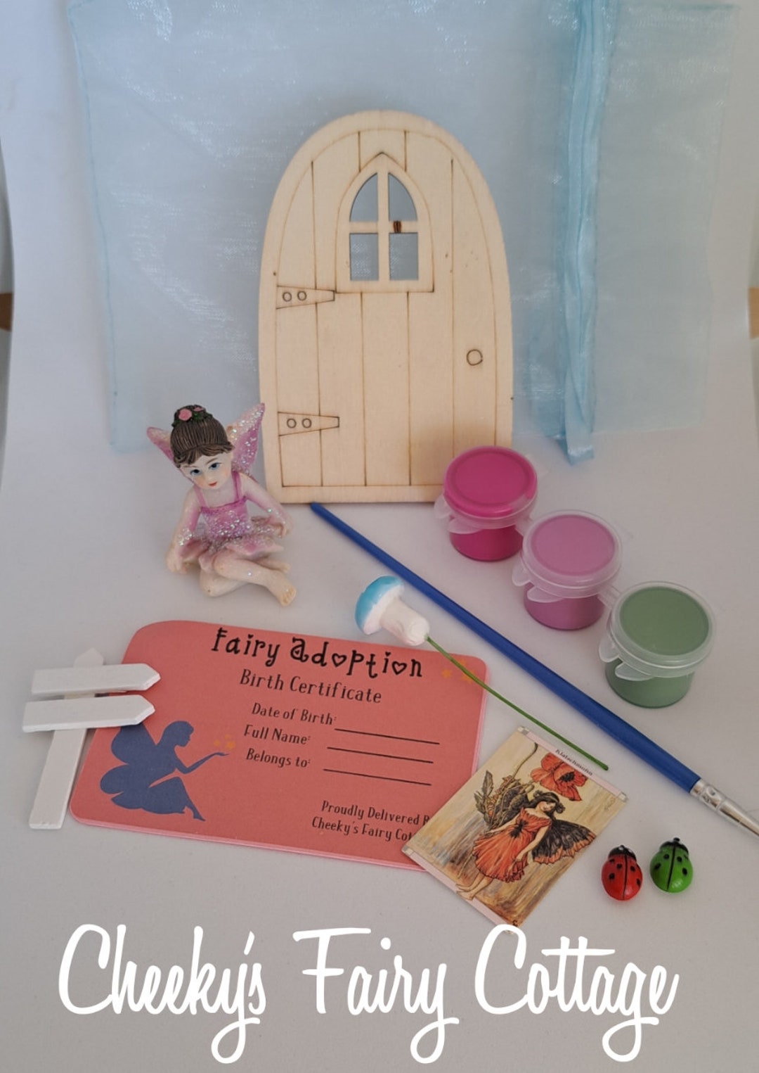 DIY Fairy Door Paint Kit With Fairy. Adoption Fairy Kit, Kids Pretend ...