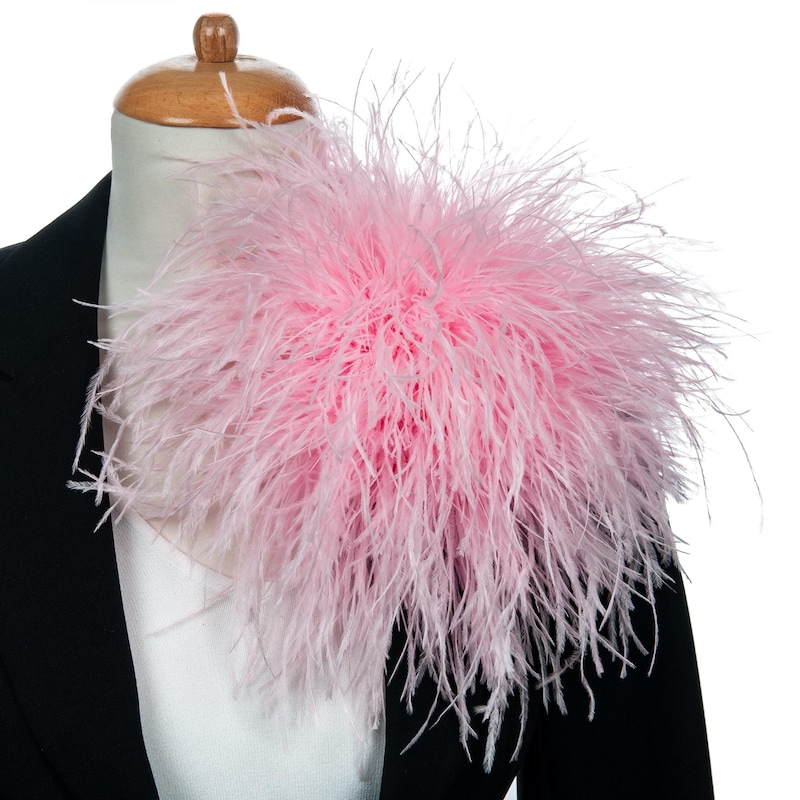 Pink Ostrich Feathers - Etsy