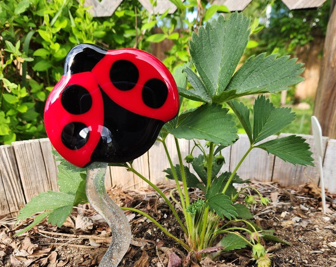 Fused Glass Ladybug Garden Stake, Large Fused Glass Ladybug, Indoor ...