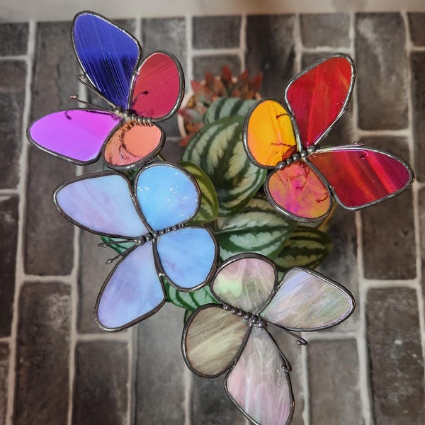Butterfly Wing Plant - Etsy