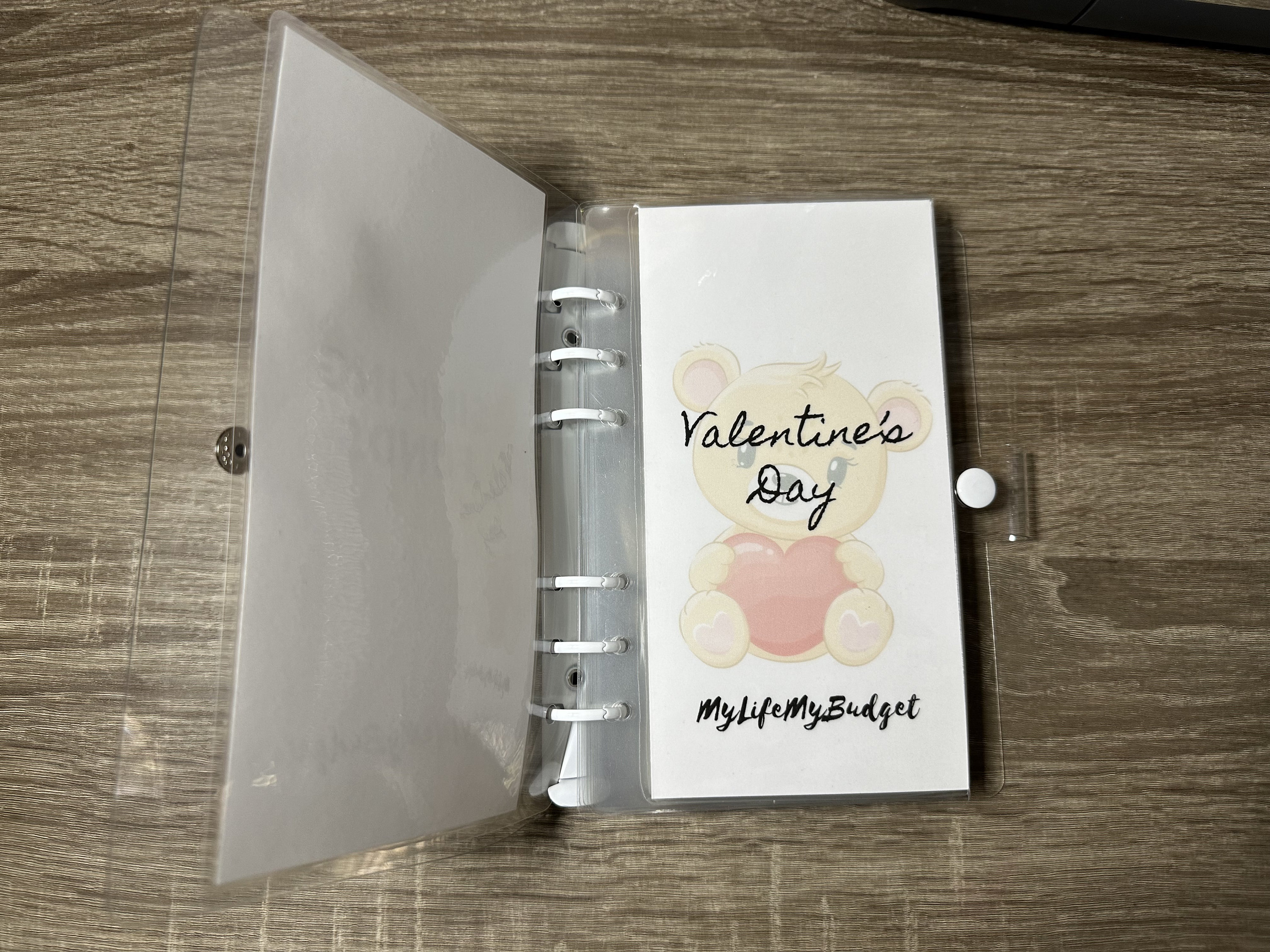 Sinking Funds Envelopes - Etsy