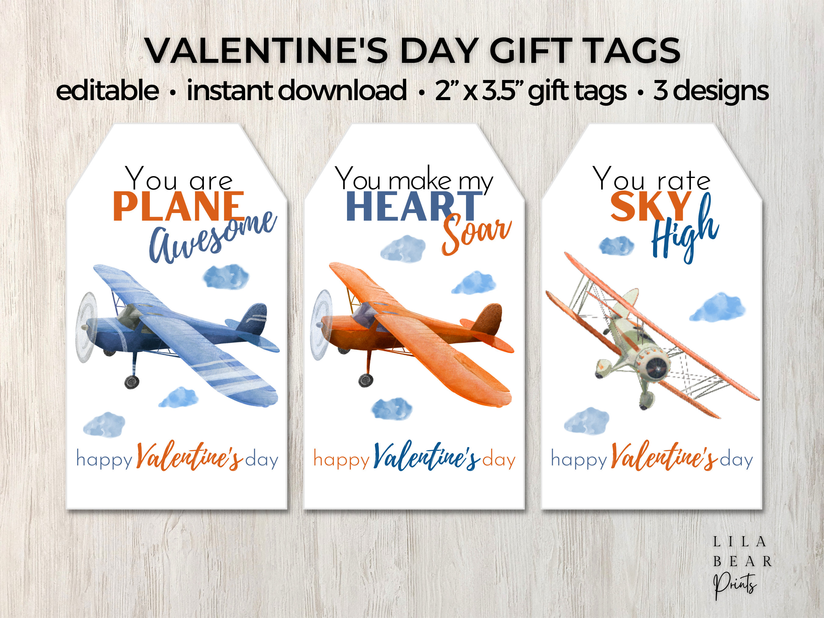 Airplane Valentine's Day Gift Tags, Plane Valentine, Kids Valentine ...