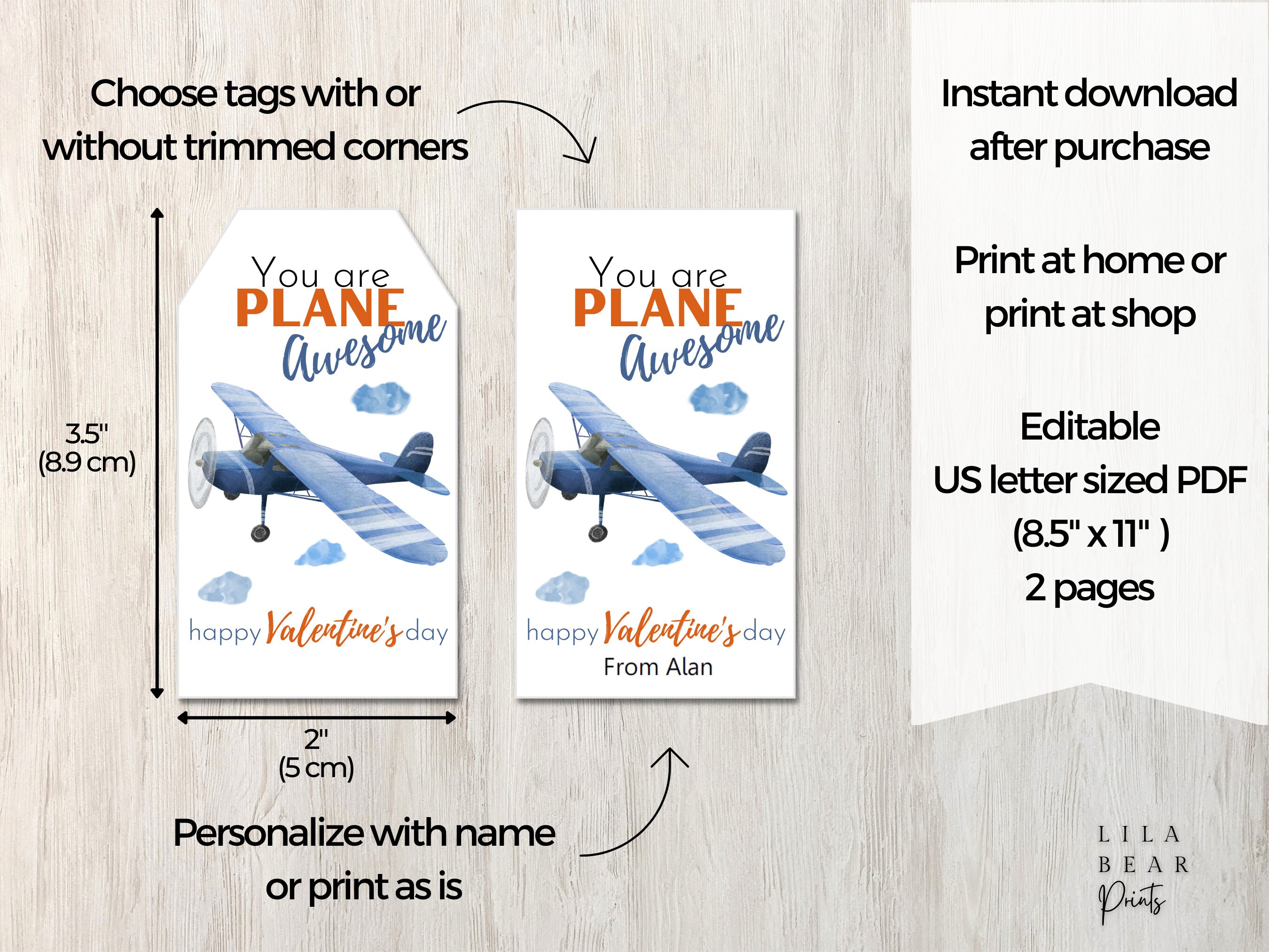 Airplane Valentine's Day Gift Tags, Plane Valentine, Kids Valentine ...