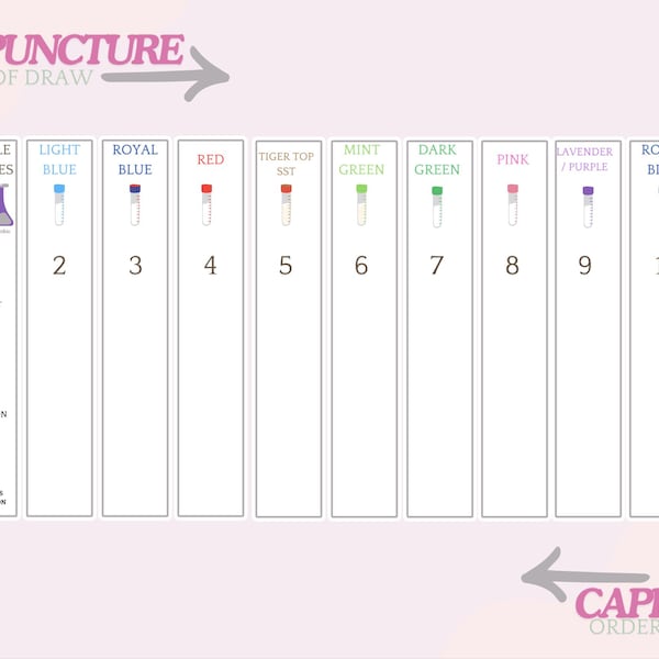 Phlebotomy Order of Draw Chart - Etsy Phlebotomy Order of Draw Chart - Etsy