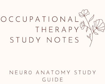 Neuro Cheat Sheet for Occupational Therapy Students & Practitioners ...