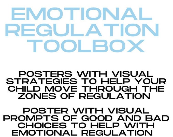 Self Regulation, Resource, Sensory, Battery, Activation, Paeds, OT ...