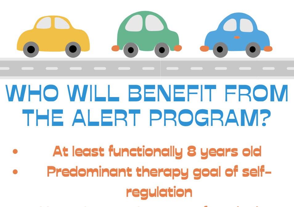 The ALERT Program Toolbox - Etsy Australia