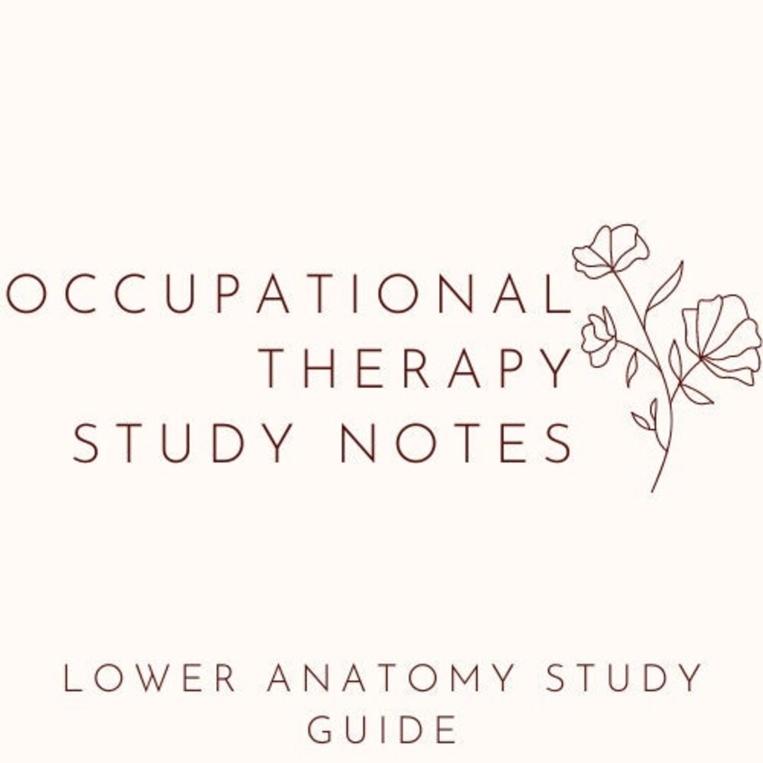Occupational Therapy Lower Anatomy Study Guide - Etsy
