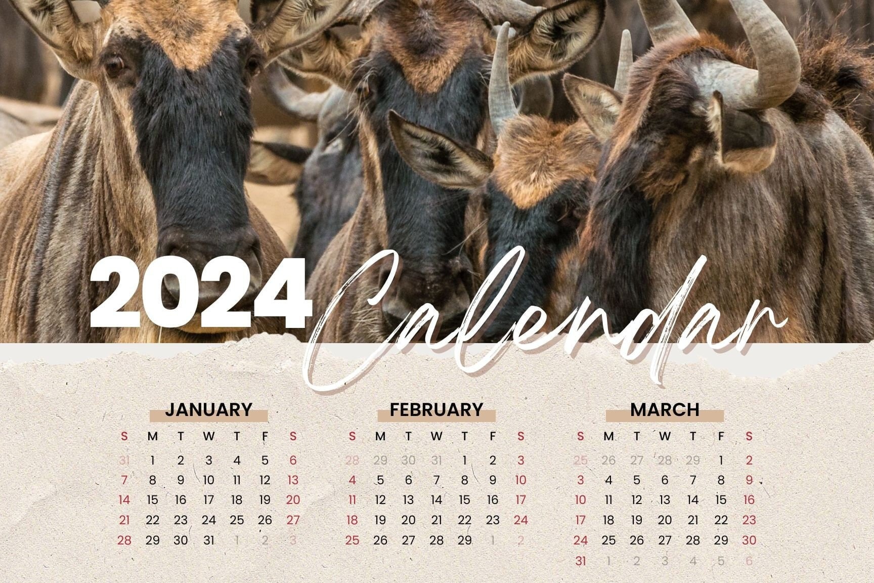 2024 Printable Calendar, Safari Animal Calendar, Wildlife Calendar ...