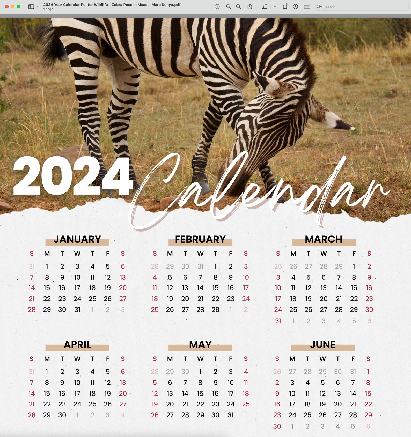 2024 Printable Calendar, Safari Animal Calendar, Wildlife Calendar ...