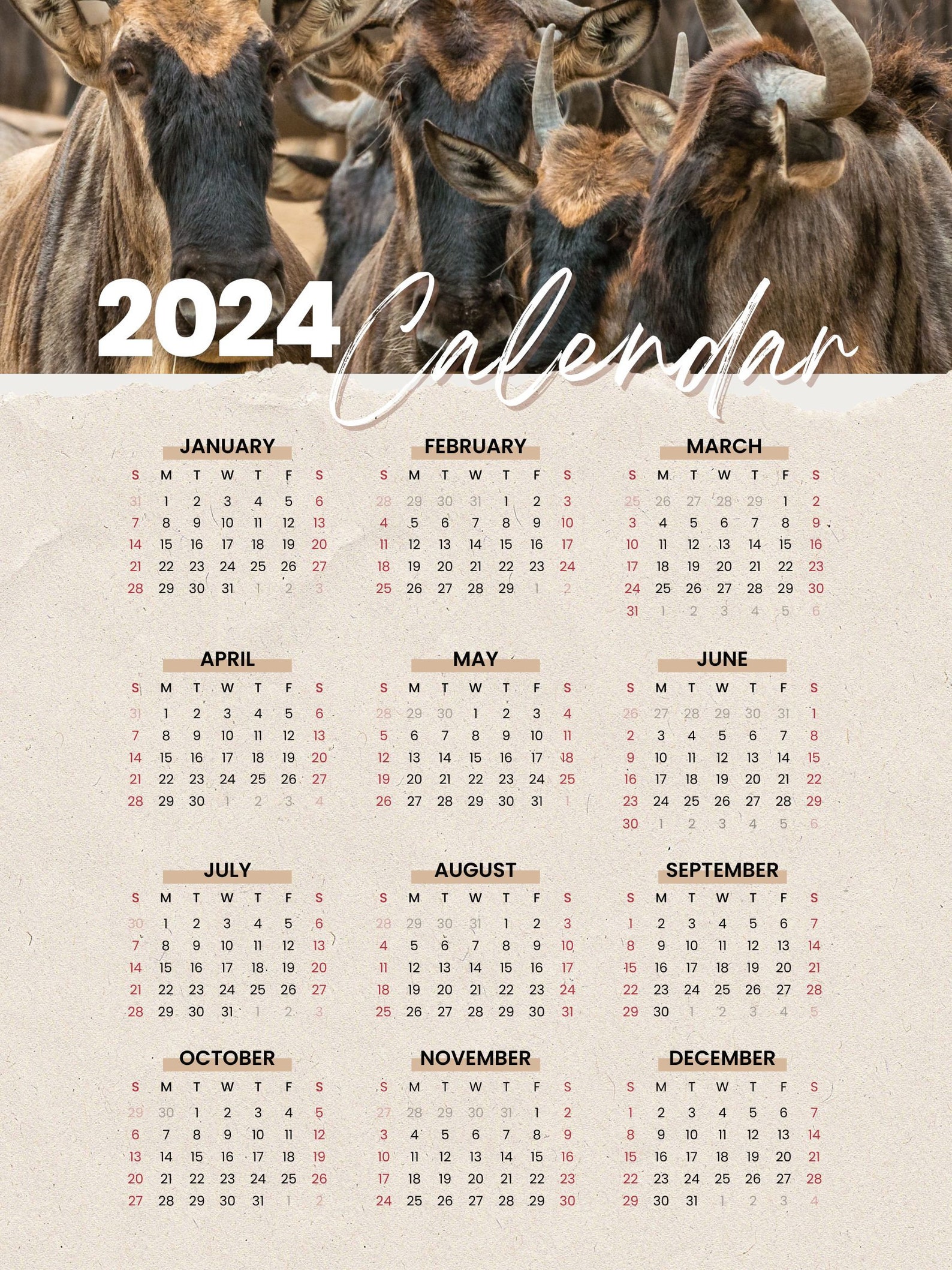 2024 Printable Calendar, Safari Animal Calendar, Wildlife Calendar ...
