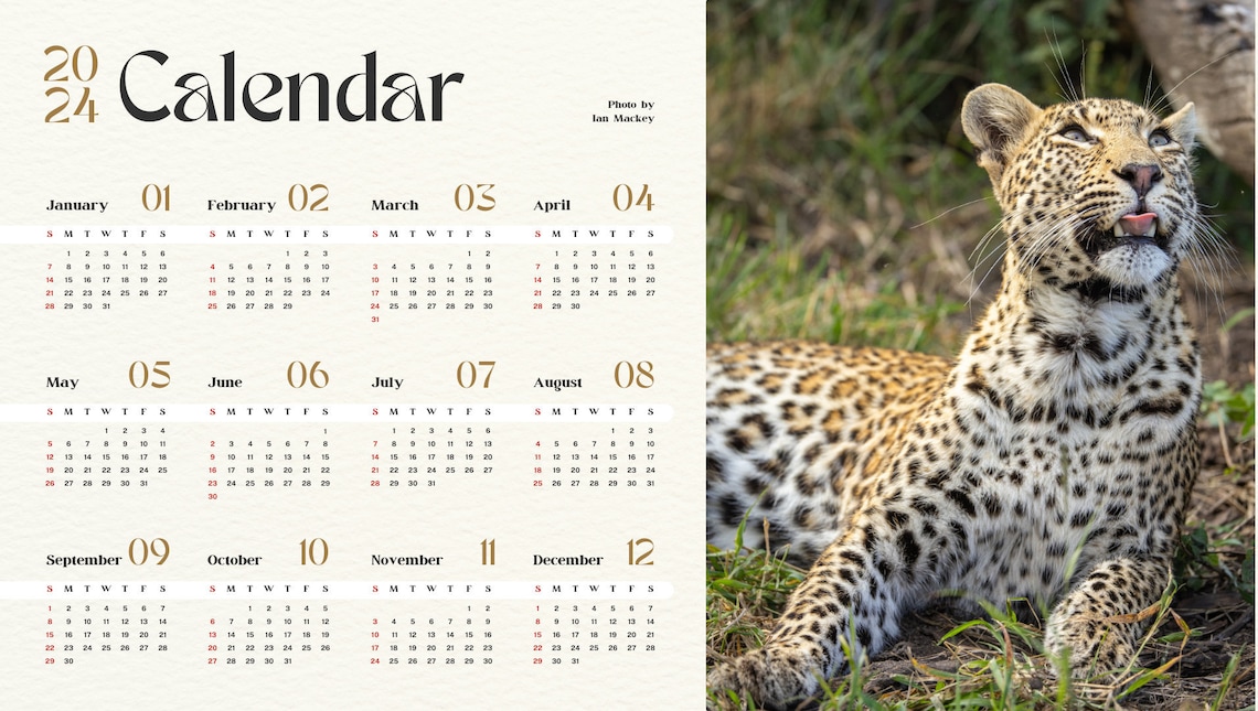 2024 Printable Calendar, Safari Animal Calendar, Wildlife Calendar ...