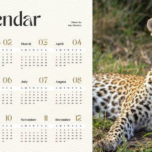 2024 Printable Calendar, Safari Animal Calendar, Wildlife Calendar ...