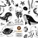 Ocean Animals SVG, Black Sea Animals Clipart, Doodle Whale PNG, Sea ...