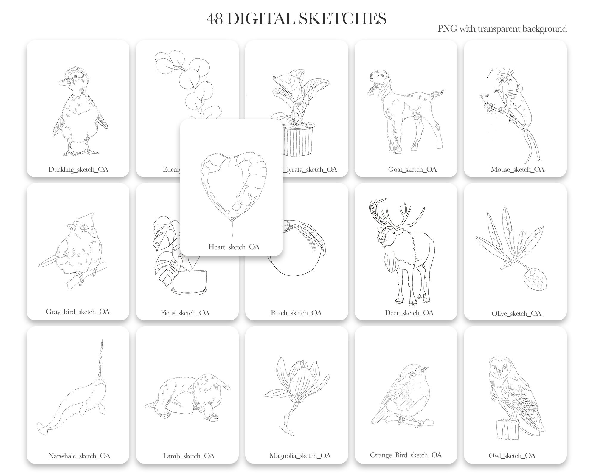 Digital Sketches PNG, Coloring Pages, Procreate Sketch, Instant ...