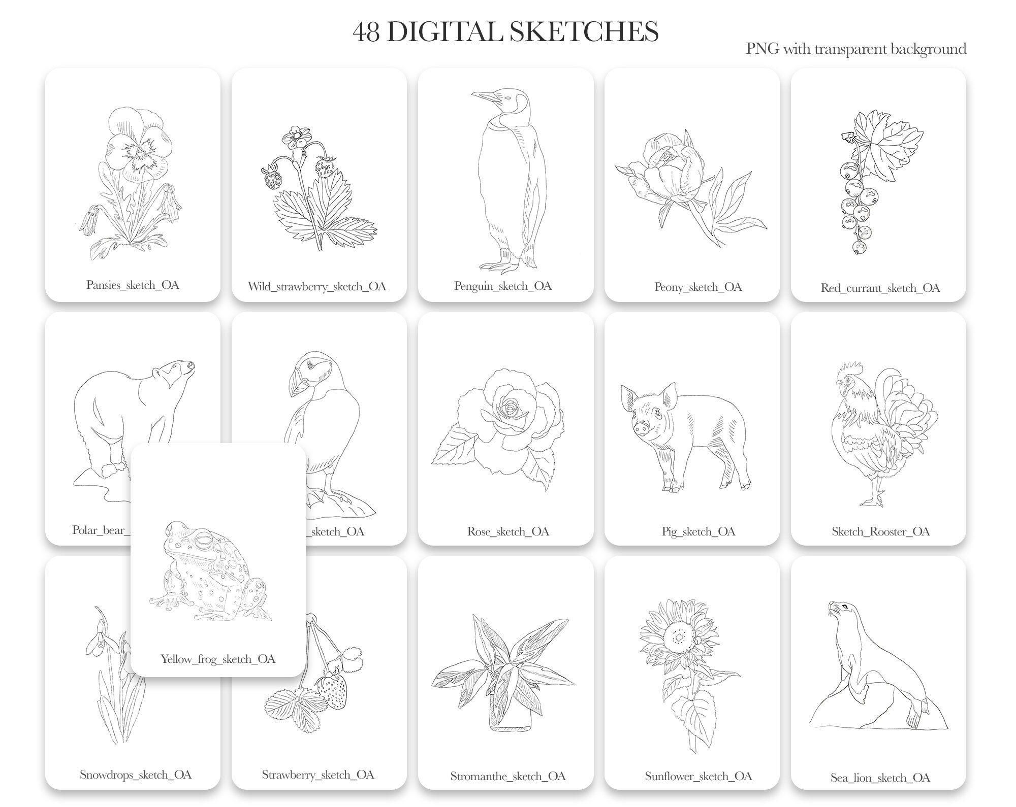 Digital Sketches PNG, Coloring Pages, Procreate Sketch, Instant ...