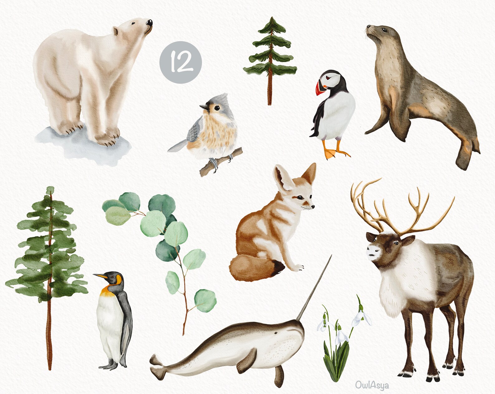 Arctic Watercolor Animals Clipart, Digital Watercolor Polar Bear, Ocean ...