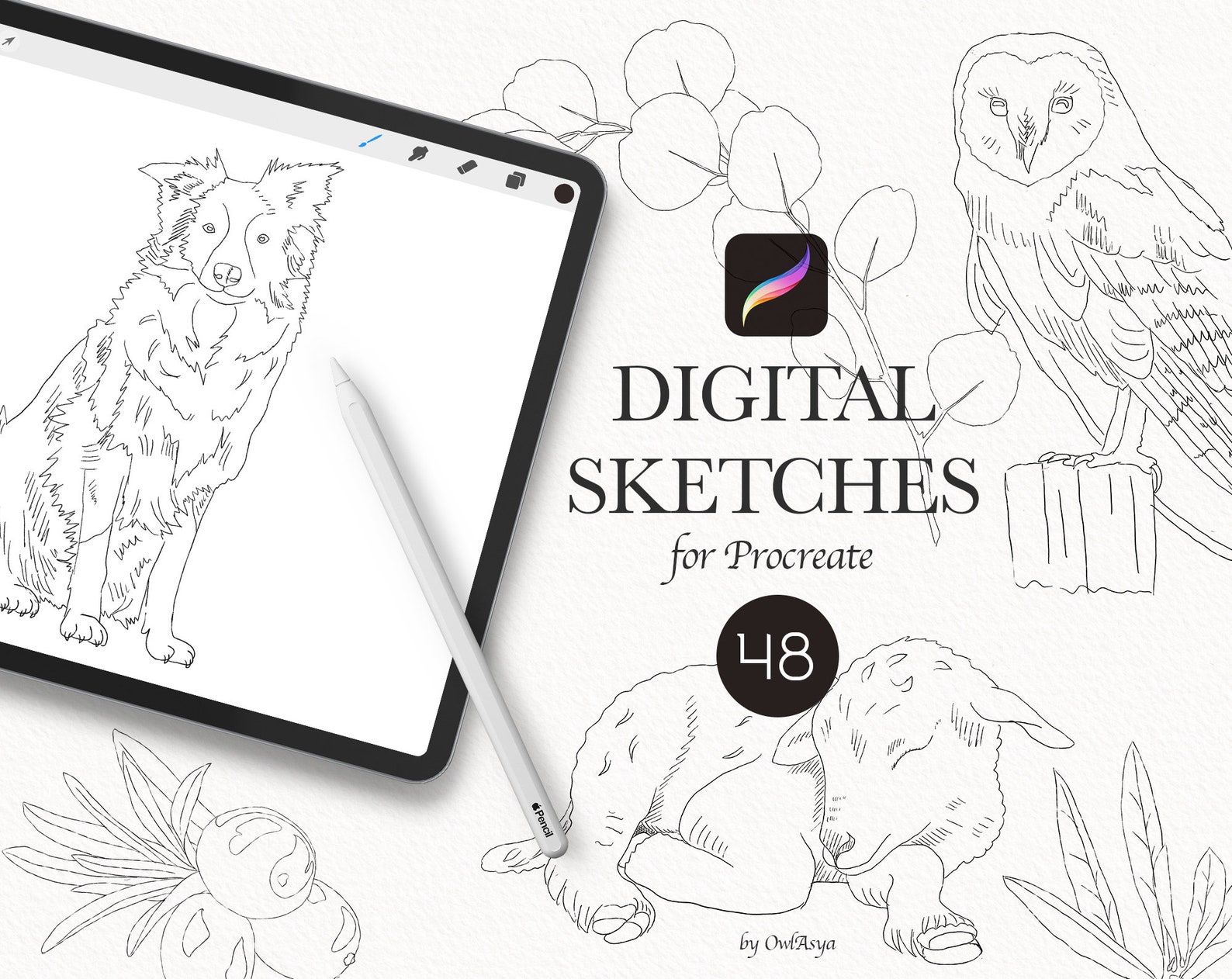 Digital Sketches PNG, Coloring Pages, Procreate Sketch, Instant ...
