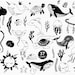 Ocean Animals SVG, Black Sea Animals Clipart, Doodle Whale PNG, Sea ...