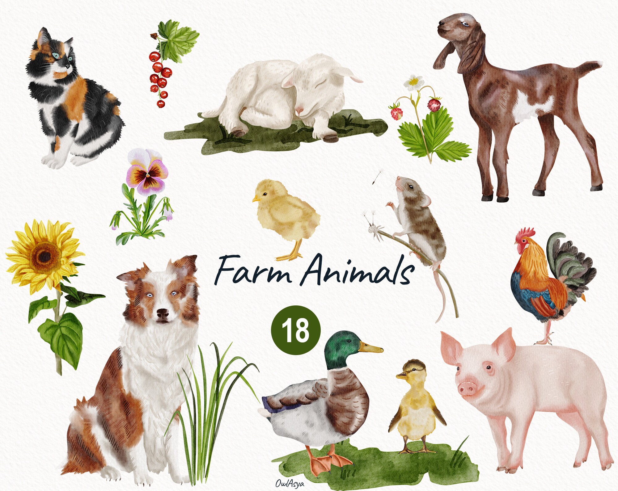 Farm Watercolor Animals Clipart, Digital Watercolor Farm Life PNG ...