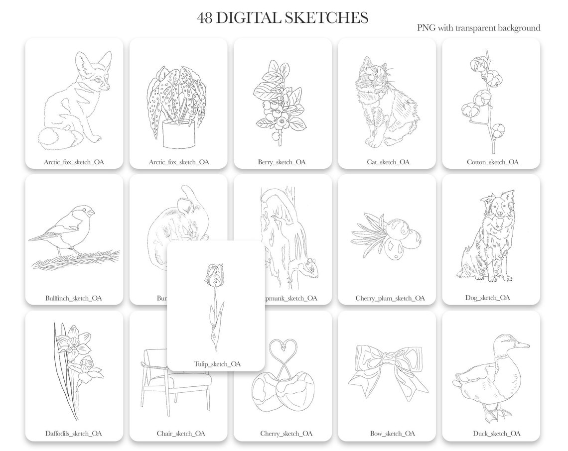 Digital Sketches PNG, Coloring Pages, Procreate Sketch, Instant ...