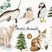 Arctic Watercolor Animals Clipart, Digital Watercolor Polar Bear, Ocean ...