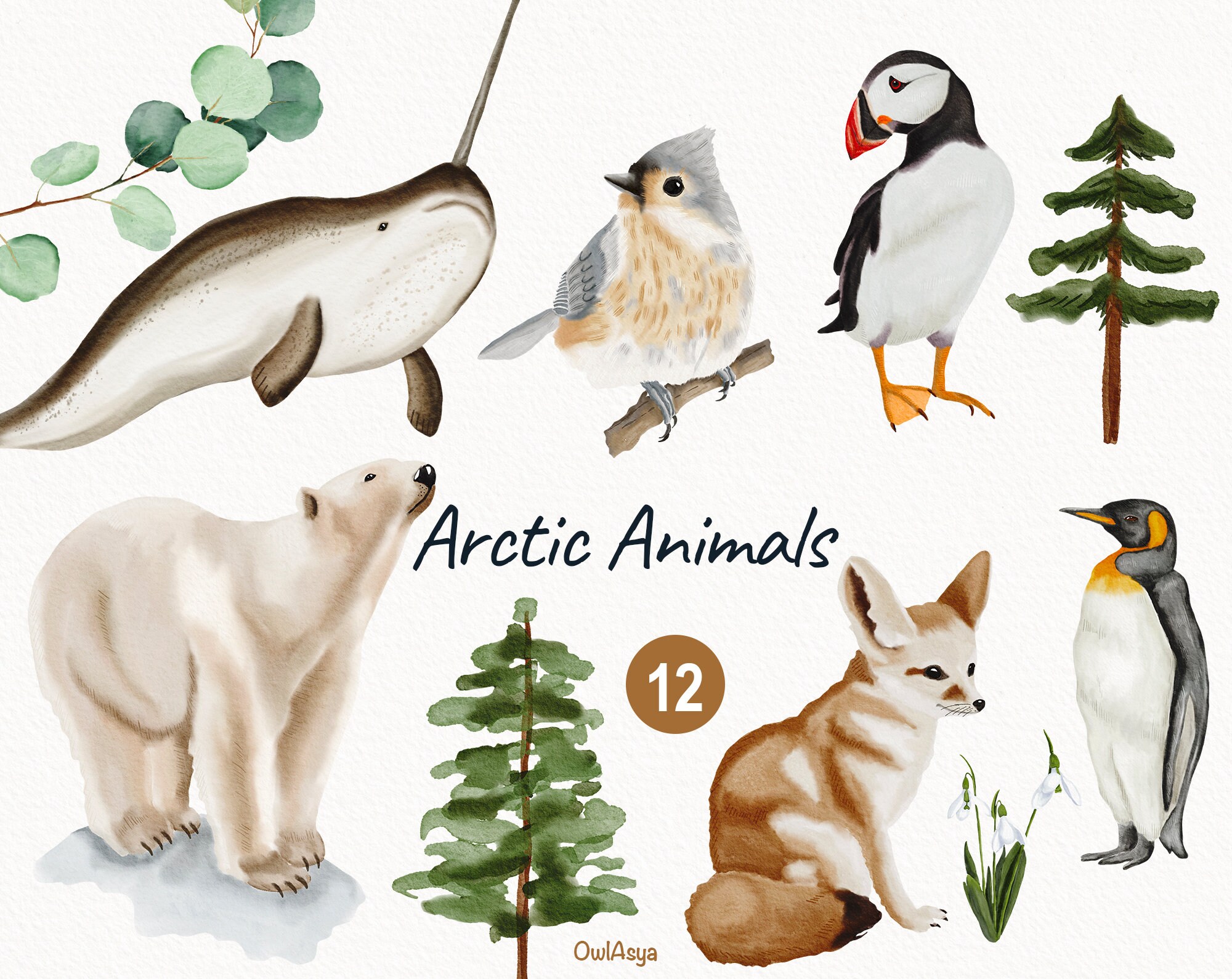 Arctic Watercolor Animals Clipart, Digital Watercolor Polar Bear, Ocean ...
