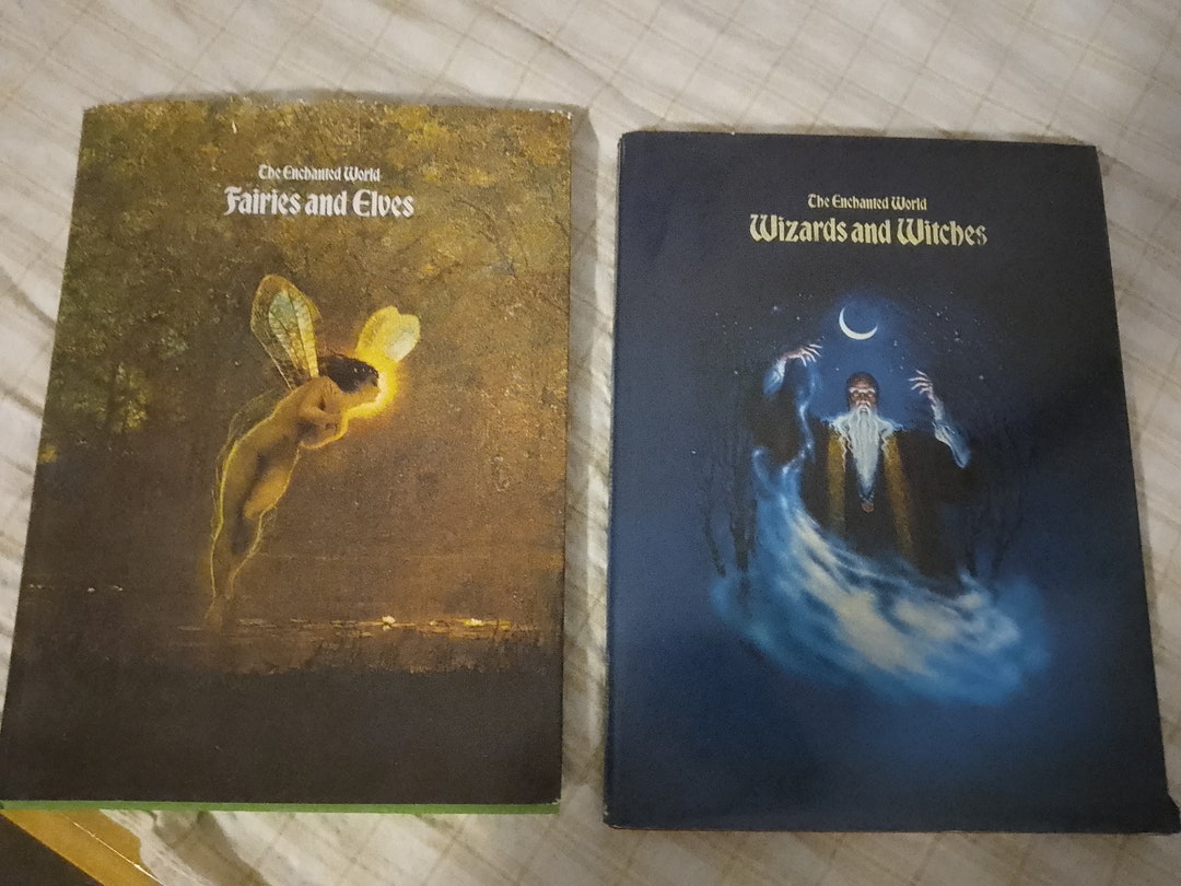 The Enchanted World Two Books From the Series - Etsy Australia