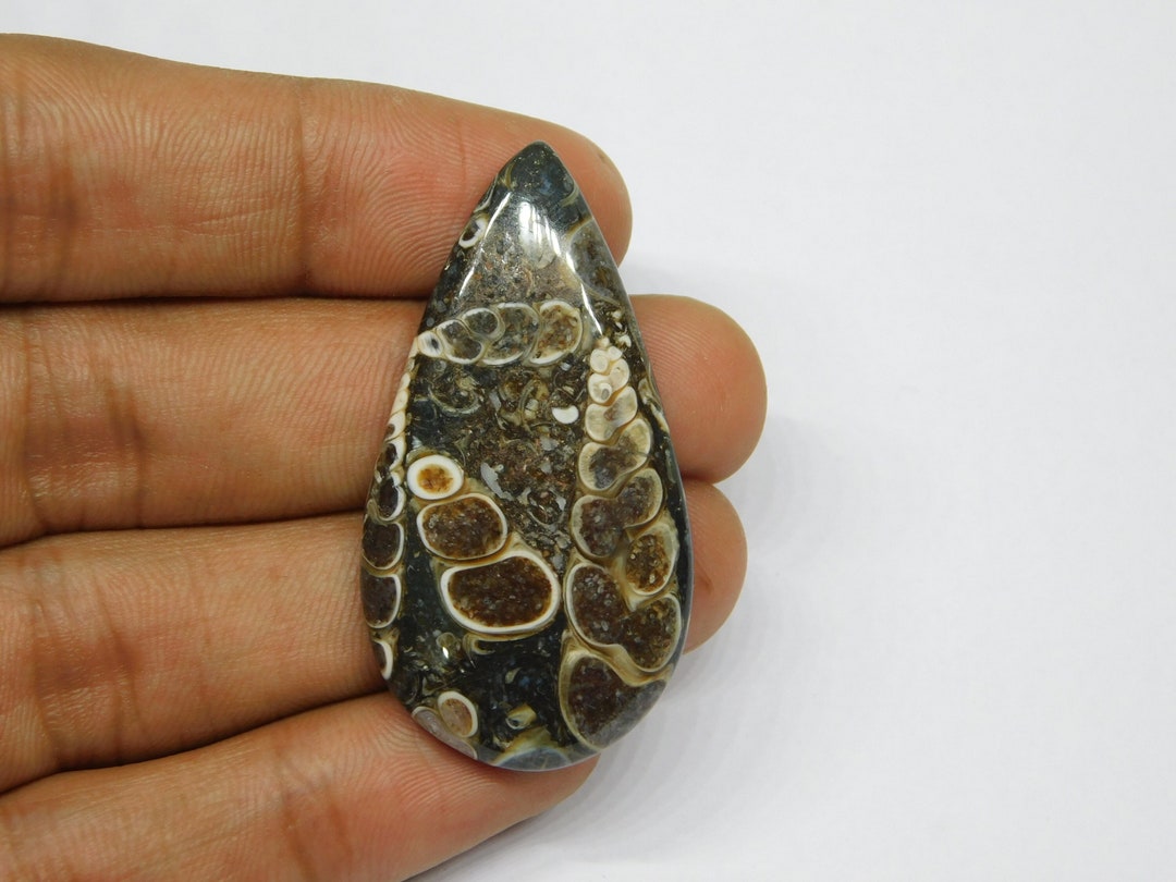 Attractive Quality Turritella Gemstone Natural Turritella Loose ...