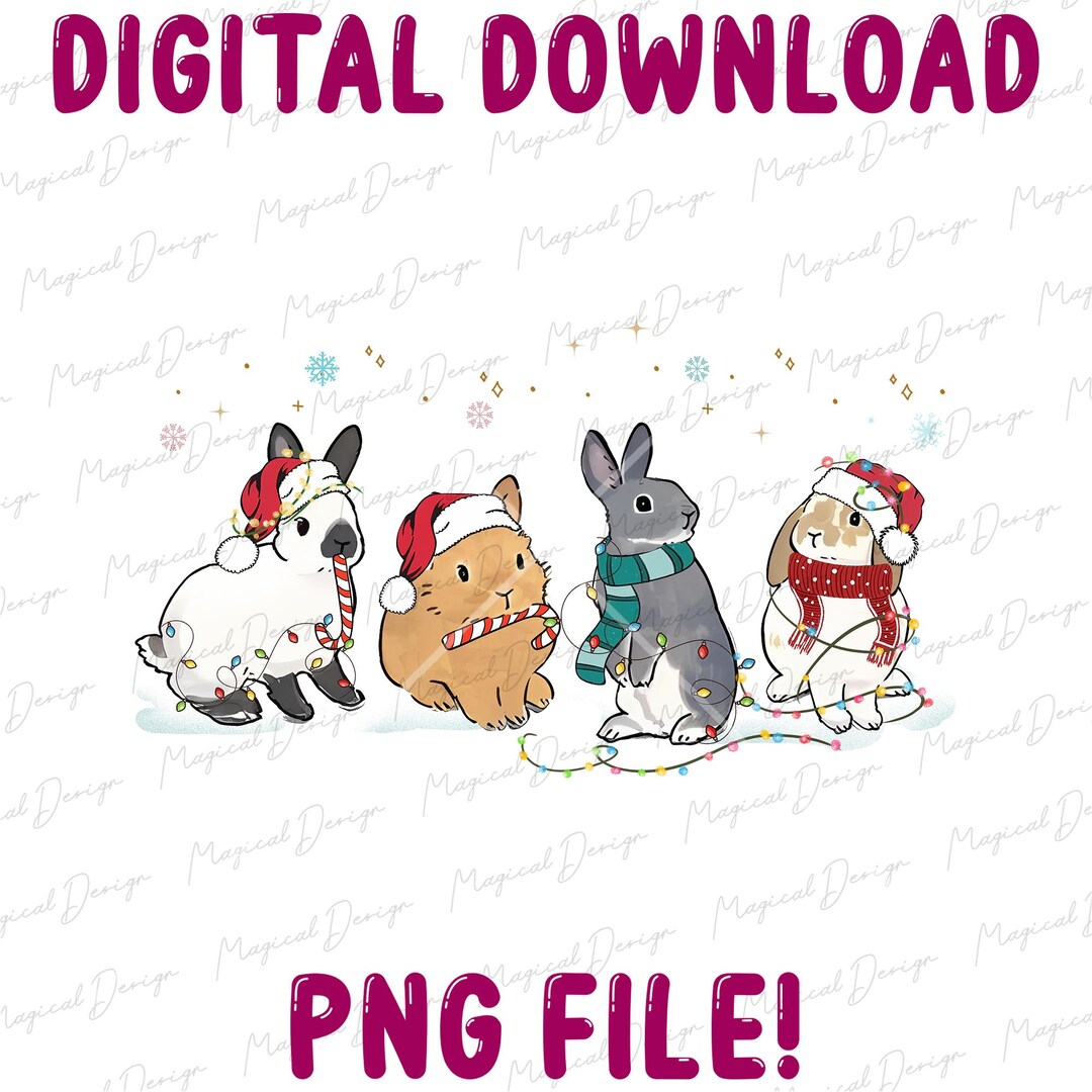 Bunny Christmas PNG, Cute Rabbit Png, Christmas Rabbit Png, Rabbit ...