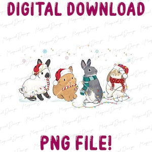 Bunny Christmas PNG, Cute Rabbit Png, Christmas Rabbit Png, Rabbit ...
