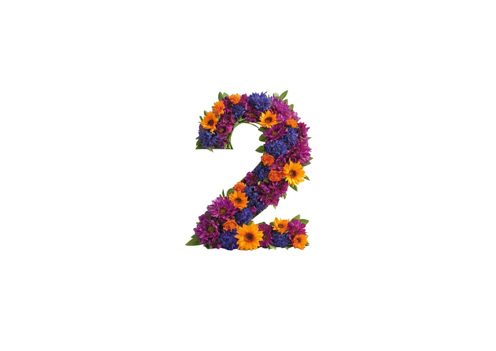 Digital Numbers (floral Design) - Etsy