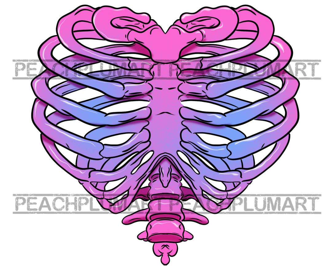 Skeleton Chest Png, Rib Cage Png, Heart Rib Cage Png, Rib Cage Svg ...