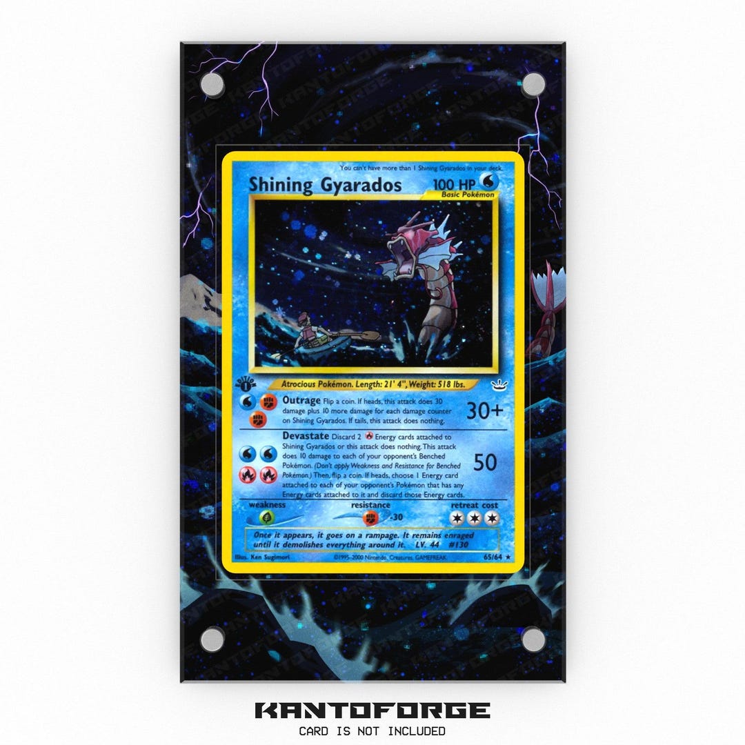 Shining Gyarados 065/064 - Pokémon Extended Artwork Display Case - Etsy