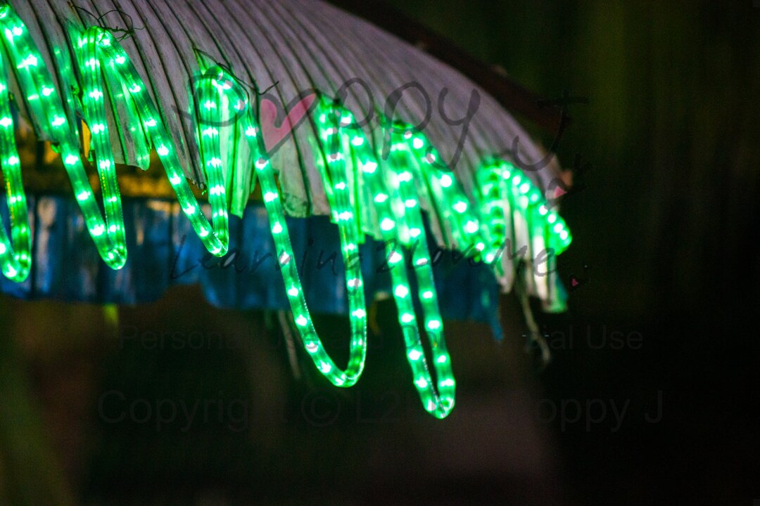 Neon Roof Edge Decor Photography Photo Gallery Photo Stock Digital ...