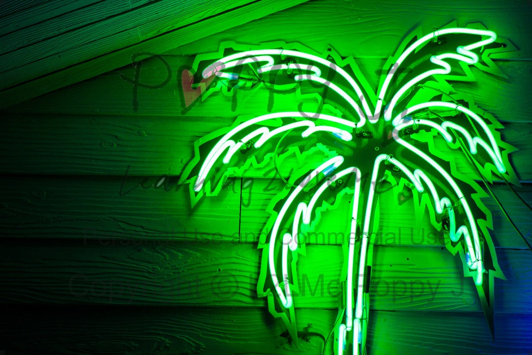 Neon Coconut Tree Photography Photo Gallery Photo Stock Digital ...