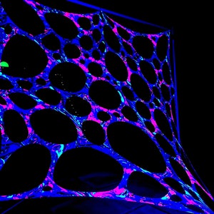 UV Acid Bath Webbing Stretch Event Décoration, Glow in the Dark ...