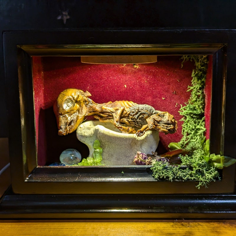 Mummified - Etsy